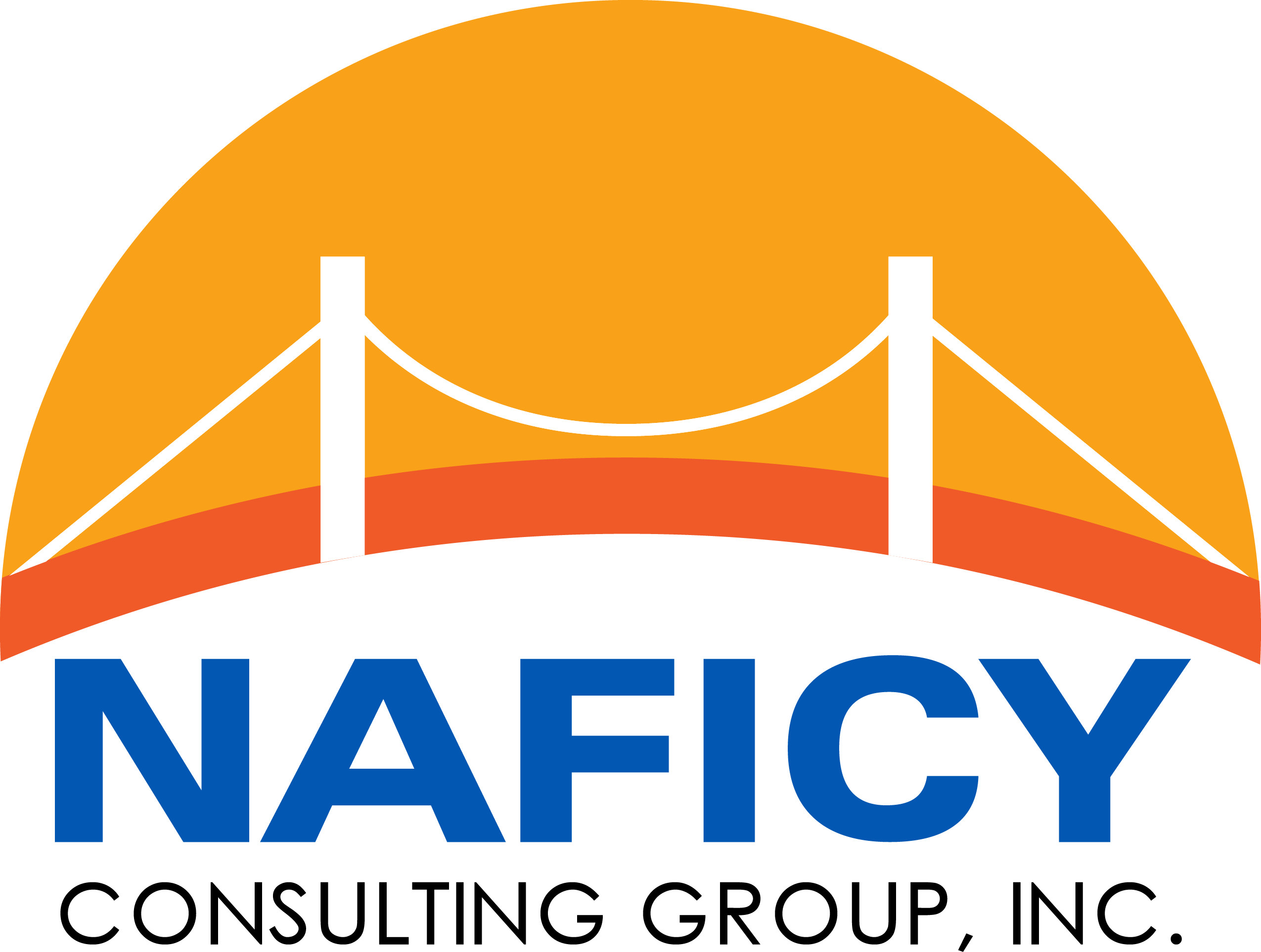 Naficy Consulting Group, Inc. – Bridging the Divide
